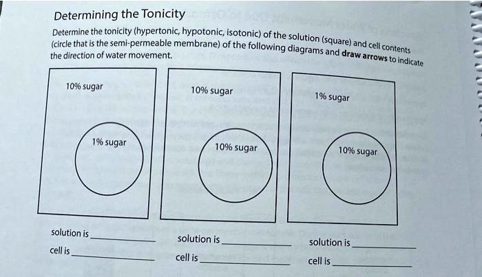 Determining the Tonicity Determine the tonicity (hypertonic, hypotonic ...