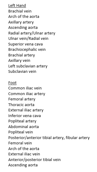 Left Hand Brachial vein Arch of the aorta Axillary artery Ascending ...