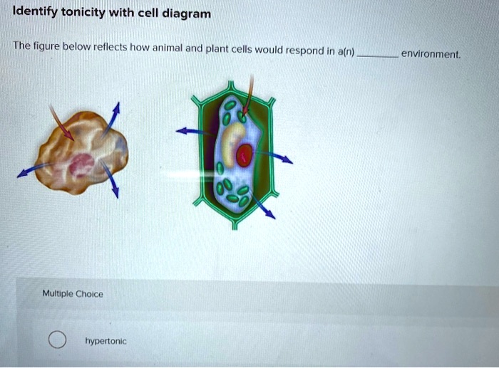 SOLVED: Identify tonicity with cell diagram The figure below reflects ...