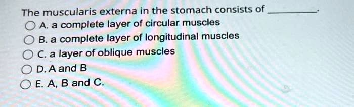 SOLVED: The muscularis externa in the stomach consists of OA.a complete ...