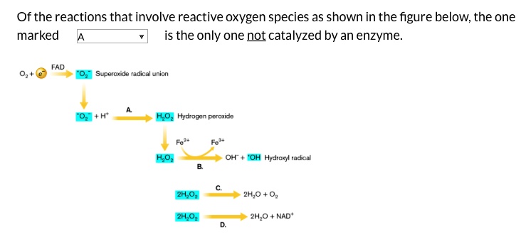 SOLVED: Of the reactions that involve reactive oxygen species as shown ...
