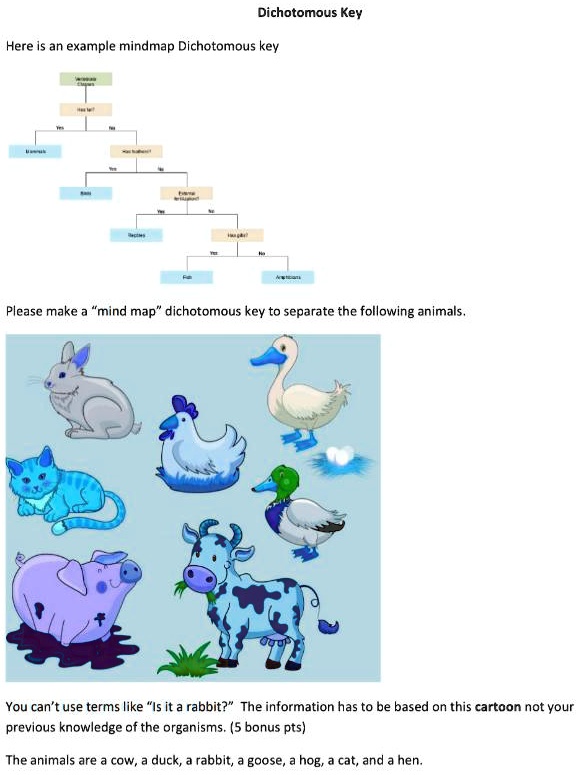 SOLVED: Here is an example mind map of a Dichotomous key. Please make a "mind map" dichotomous ...