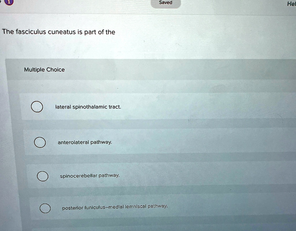 The fasciculus cuneatus is part of the Multiple Choice lateral ...