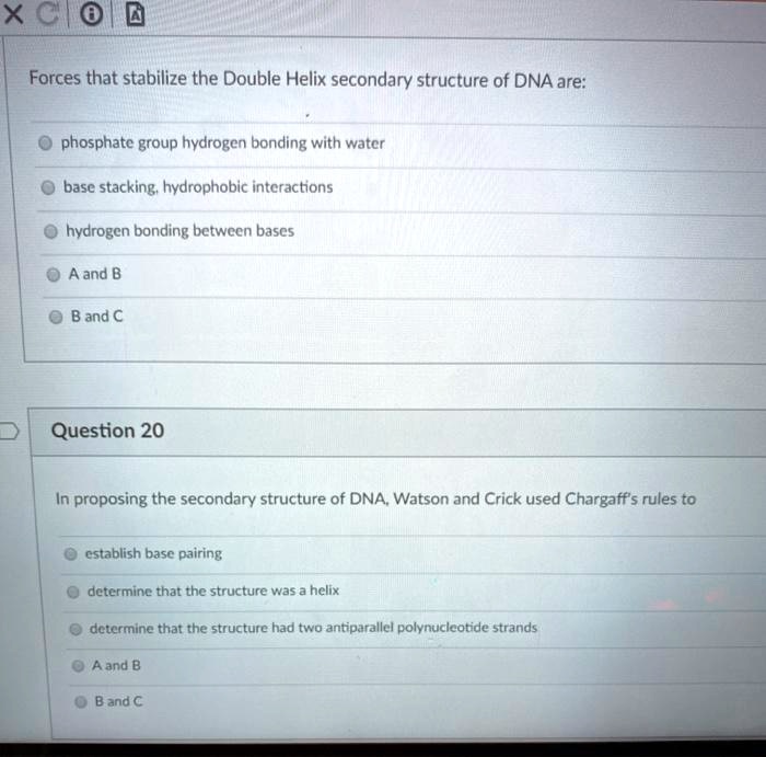 SOLVED: XCi 0 0 Forces that stabilize the Double Helix secondary ...