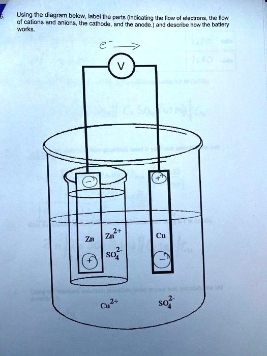 SOLVED: Using the diagram below; label the parts (indicating the flow ...
