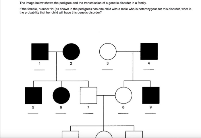 SOLVED: The image below shows the pedigree and the transmission of a ...