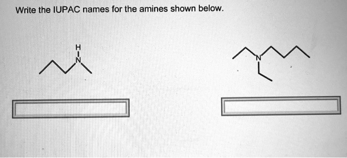 Write the IUPAC names for the amines shown below: