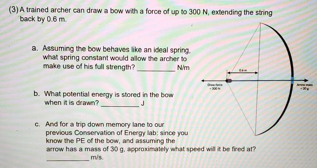 3 a trained archer can draw a bow with a force of up to 300 n extending ...