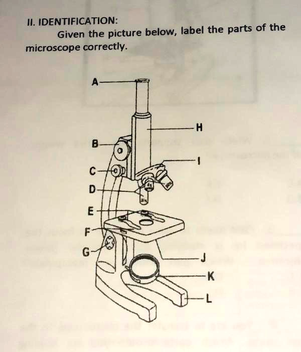 II. IDENTIFICATION: Given the picture below, label the parts of the ...
