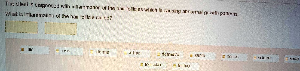 SOLVED: The client is diagnosed with inflammation of the hair follicles ...