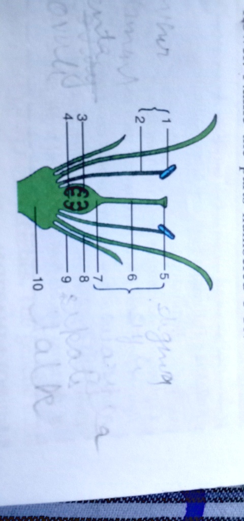 SOLVED: 'The figure given alongside represents generalized arrangement of different parts of a ...