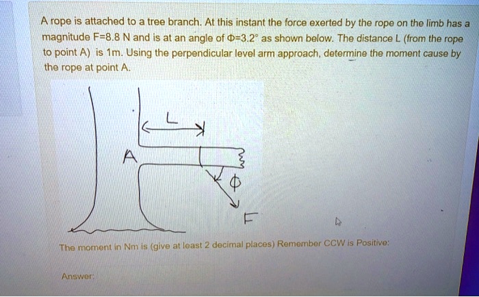 SOLVED: A rope is attached to a tree branch. At this instant, the force ...