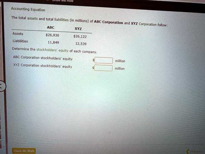 accounting equation the total assets and total liabilities in millions ...