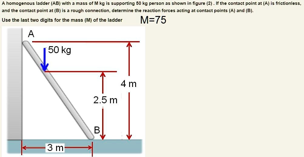 A homogenous ladder (AB) with a mass of M kg is supporting 50 kg person ...