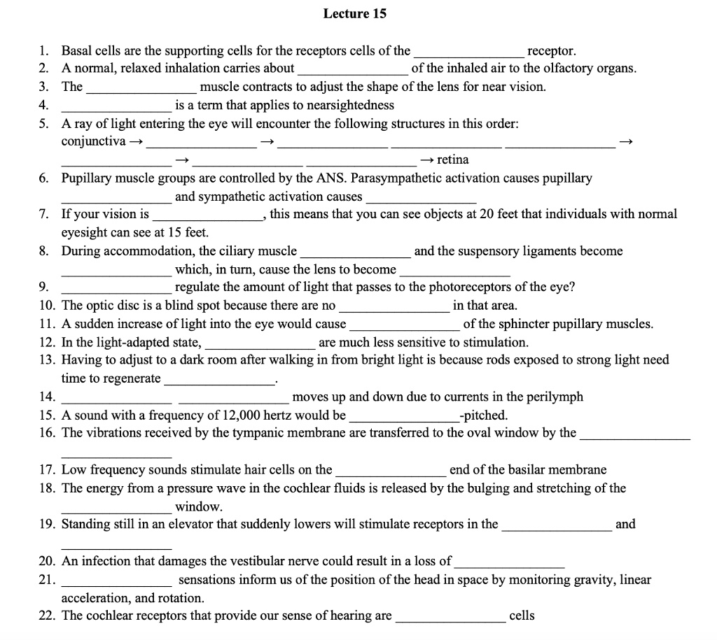 SOLVED: Lecture 15 1. Basal cells are the supporting cells for the ...