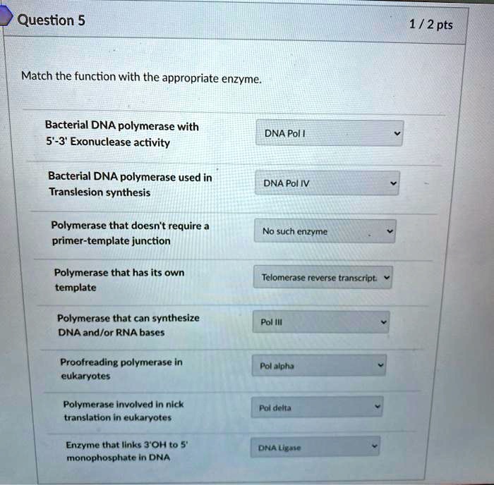 Match the function with the appropriate enzyme Bacterial DNA polymerase ...