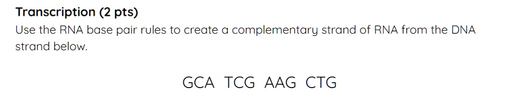 SOLVED:Transcription (2 pts) Use the RNA base pair rules to create ...