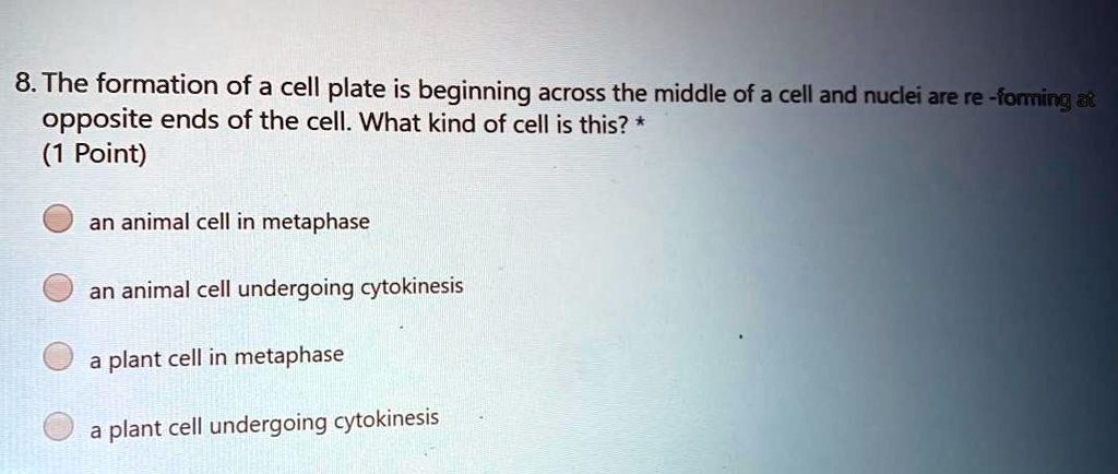 VIDEO solution: The formation of a cell plate is beginning across the ...