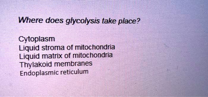 Where does glycolysis take place? Cytoplasm Liquid stroma of ...