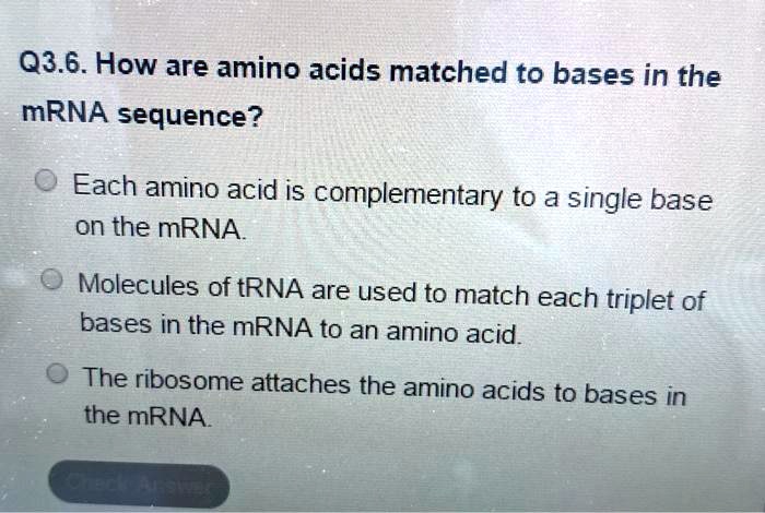 q36 how are amino acids matched to bases in the mrna sequence each ...