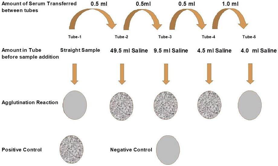 SOLVED: The figure below is a plasma titration to measure IgM anti ...