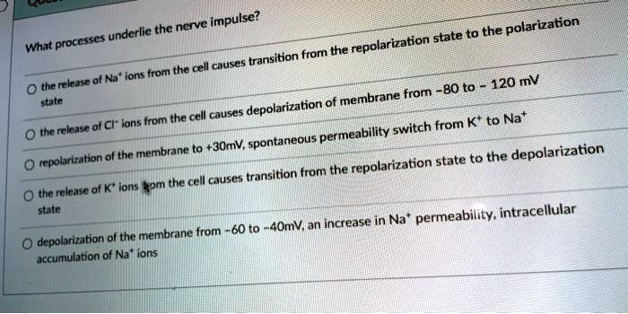 What processes underlie the nerve impulse? ? the release of Na^+ ions ...
