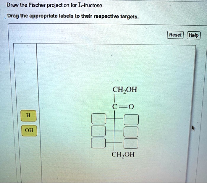 draw the fischer projection for l fructose drag the appropriate labels ...
