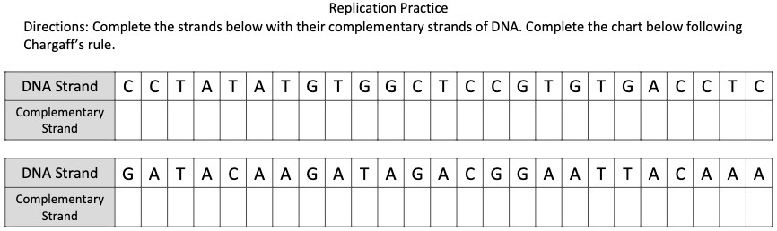 Replication Practice Directions: Complete the strands below with their complementary strands of ...