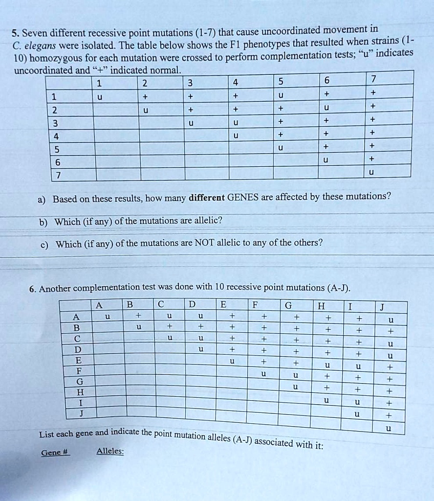 SOLVED: 5 . Seven different recessive 'point = mutations (1-7) that cause uncoordinated movement ...