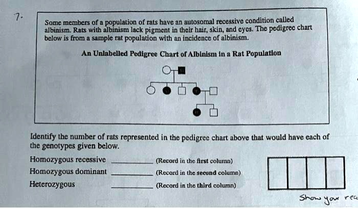 Some members of a population of rats have an autosomal recessive ...