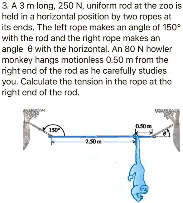 SOLVED: 3. A 3 m long, 250 N, uniform rod at the zoo is held in a ...
