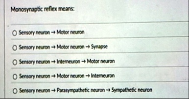 monosynaptic reflex means sensory neuron rightarrow motor neuron ...