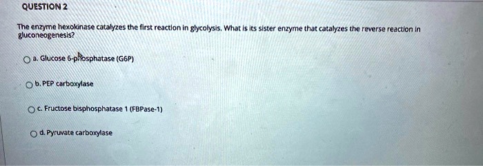 SOLVED:QUESTION 2 The enzyme hexokinase catalyzcs the fIrst reactlon ...