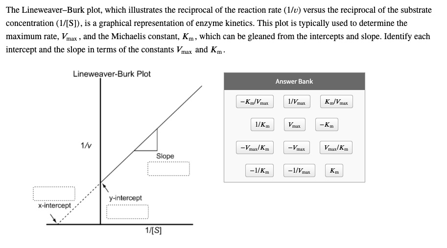Solved The Lineweaver Burk Plot Which Illustrates The Reciprocal Of