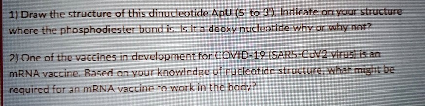 SOLVED: 1) Draw the structure of this dinucleotide ApU 5'to 3 ...