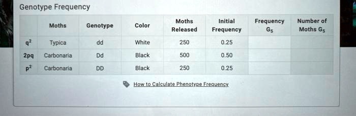 Genotype Frequency Moths Released Initial Frequency Frequency Number of ...