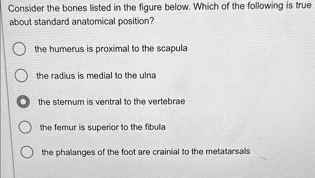 Consider the bones listed in the figure below. Which of the following is true about standard ...