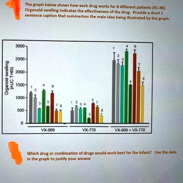 the graph below shows how each drug works for 8 different patients 1 8 ...