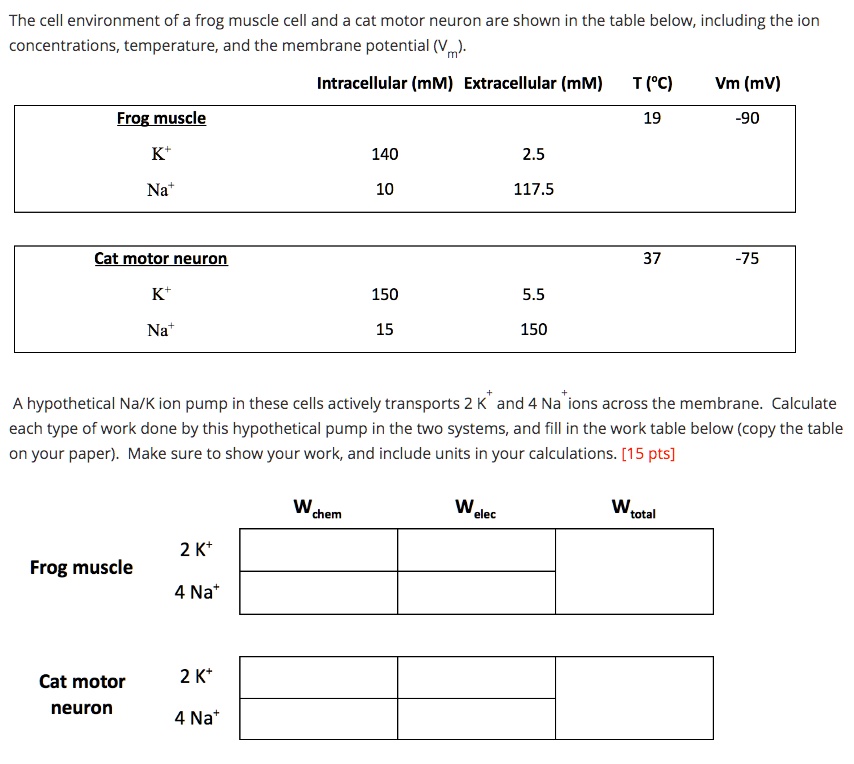 the cell environment of a frog muscle cell and cat motor neuron are ...