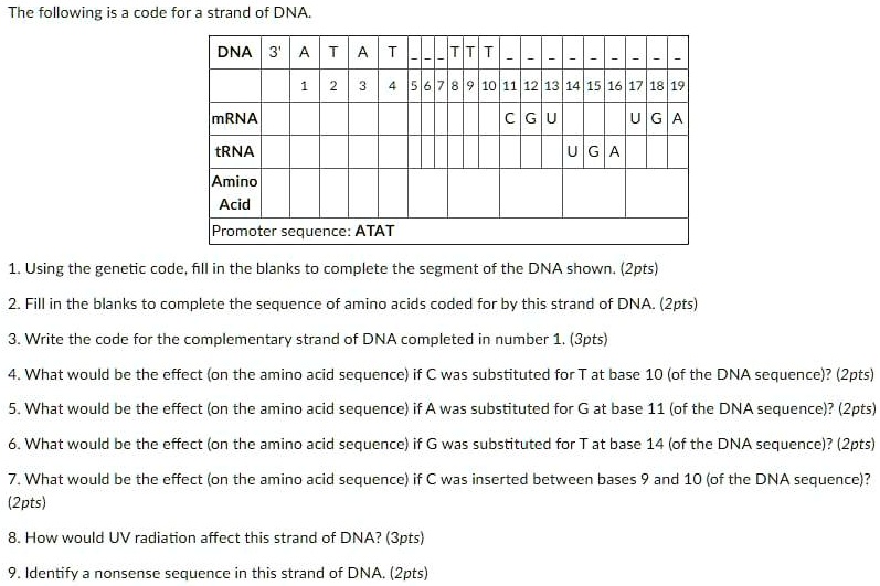 the following is codc for strand of dna dna mrna trna amino acid ...