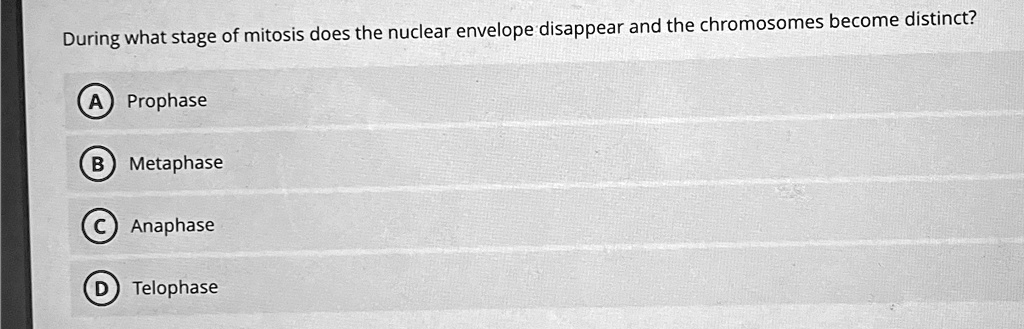 During what stage of mitosis does the nuclear envelope disappear and ...
