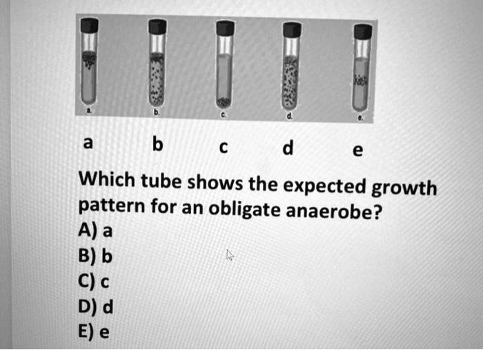 b. c. d. e. a b c d e Which tube shows the expected growth pattern for ...