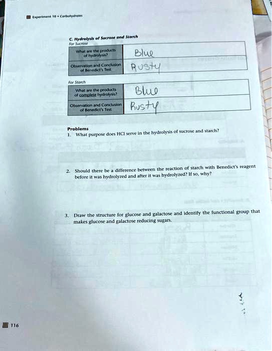 SOLVED: Texts: Title: Hydrolysis of Starch: Observation and Conclusion ...