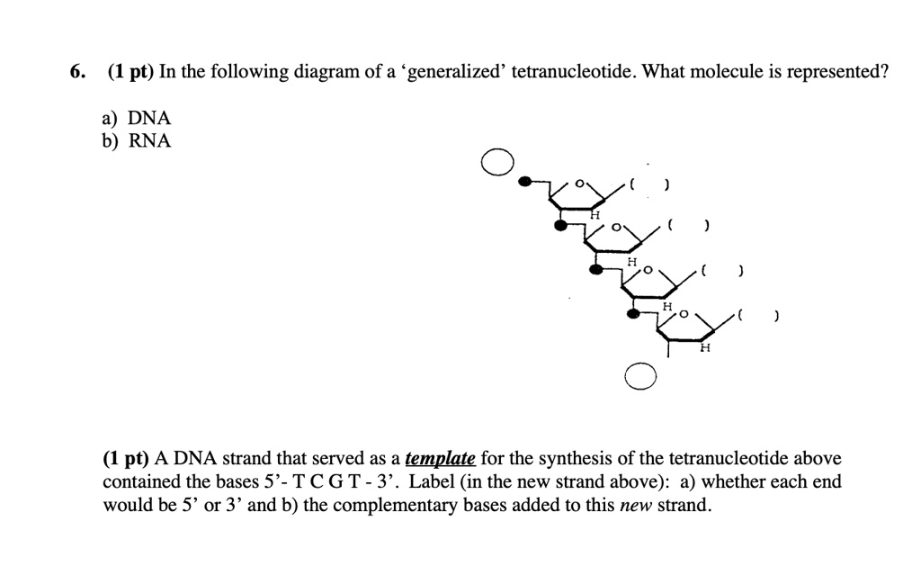 pt in the following diagram of a generalized tetranucleotide what ...