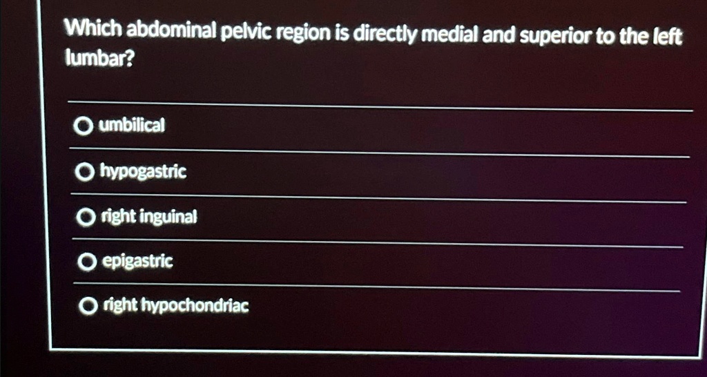Which abdominal pelvic region is directly medial and superior to the ...