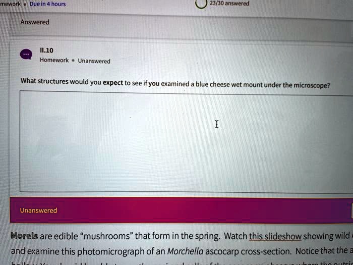 SOLVED: What structures would you expect to see if you examined a blue ...