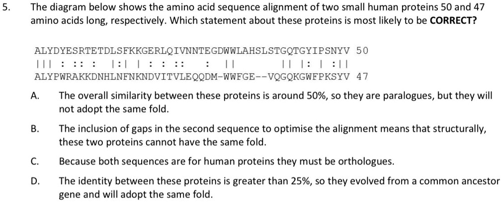 The diagram below shows the amino acid sequence align… - SolvedLib