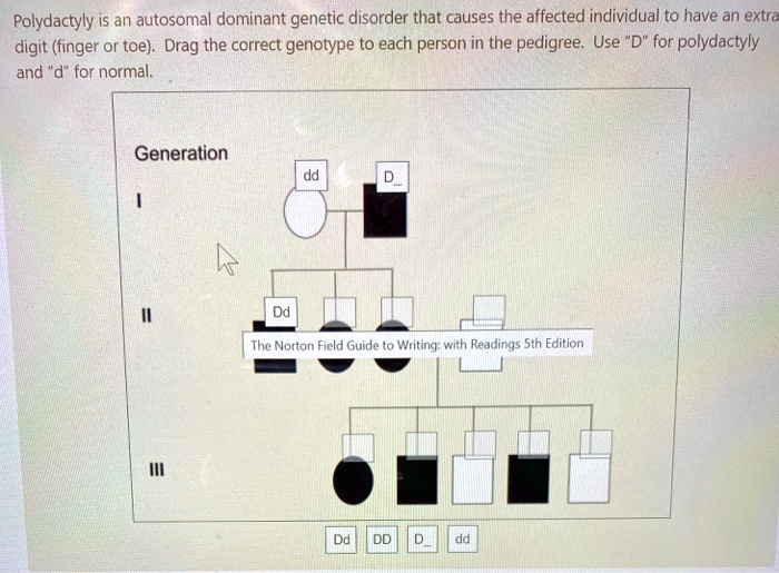 SOLVED:Polydactyly is an autosomal dominant genetic disorder that ...