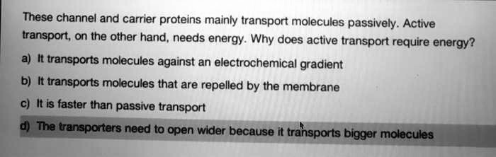 SOLVED: These channel and carrier proteins mainly transport molecules ... SOLVED: These channel and carrier proteins mainly transport molecules ...