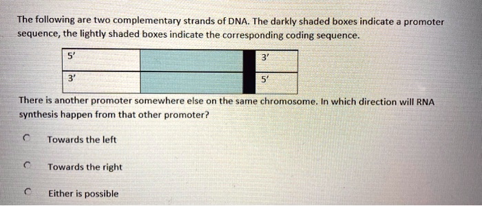 the following are two complementary strands of dna the darkly shaded ...